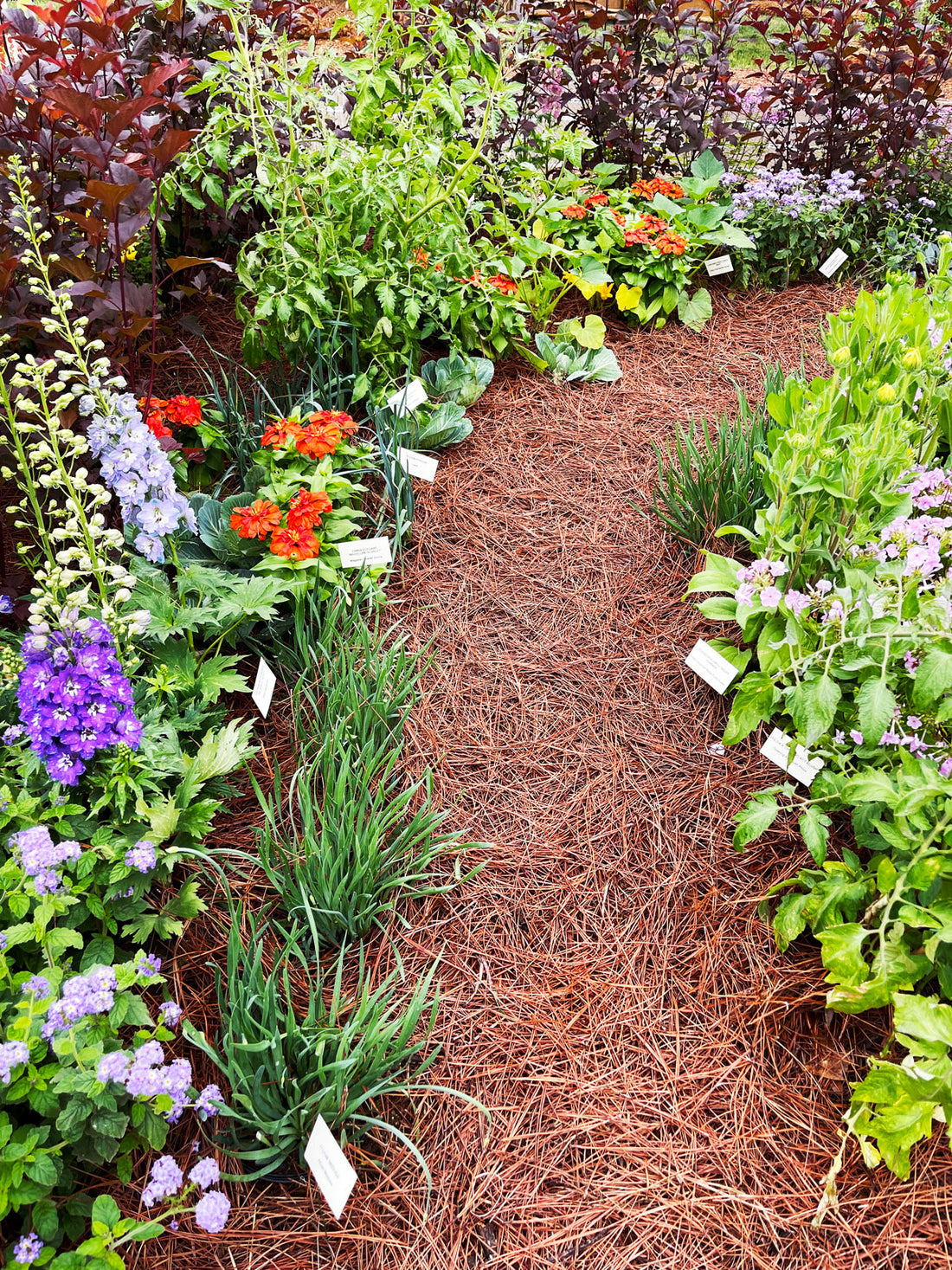 Local Delivery - Longleaf Pine Straw Mulch – Mid-Atlantic Pine Straw